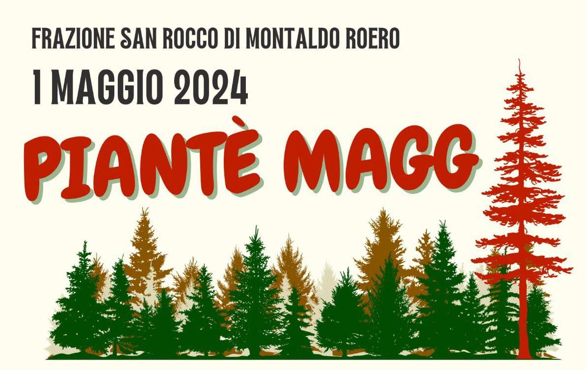 Piantè Magg - un rito arboreo ancestrale nel cuore del Roero ...